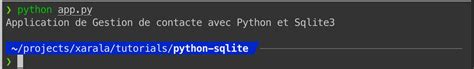 Comment créer une application avec Python et sqlite