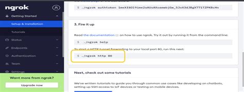 Phishing Using Ngrok And Social Engineering Toolkit