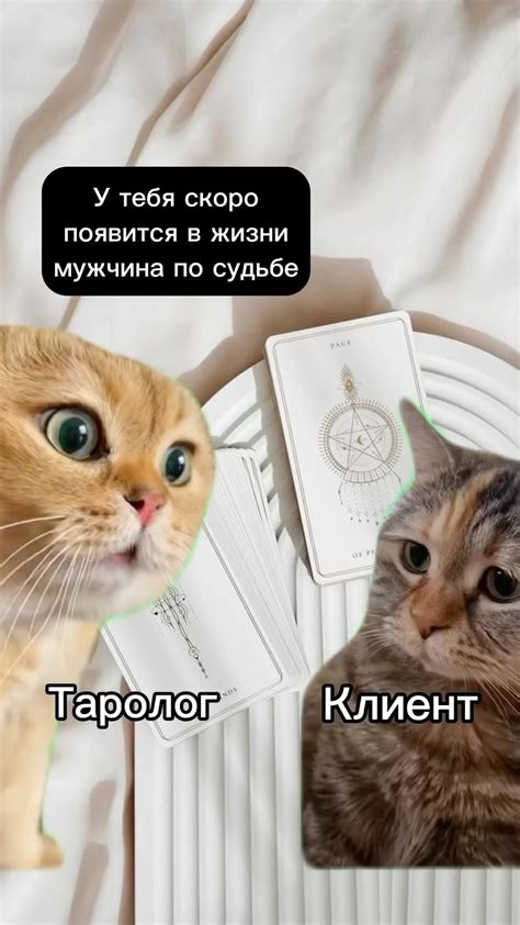 ТАРО ТАРО ТАРО Любовный расклад на картах ТАРО 2000 руб отзывы можно посмотреть в