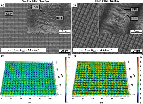 Functionalization Of Ti64 Via Direct Laser Interference Patterning And Its Influence On