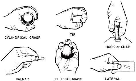 interdigital grasp patterns