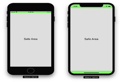Top 10 Latest Flutter Widgets