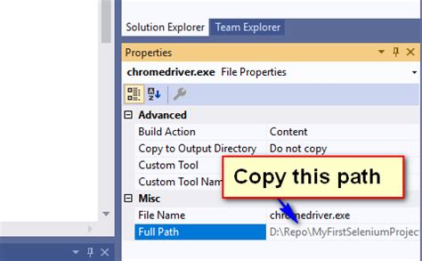 Selenium C Adding Chrome Driver To Execute Scripts On Chrome Browser QAFox