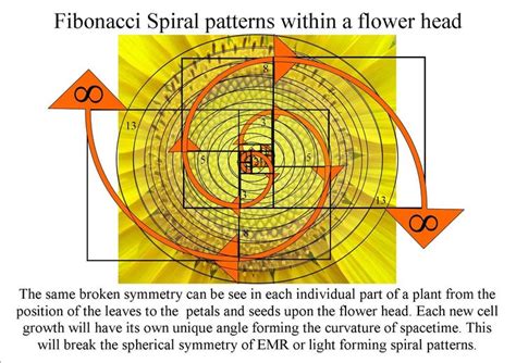 Golden Ratio And Fibonacci Spiral In A New Atomic Theory Fibonacci