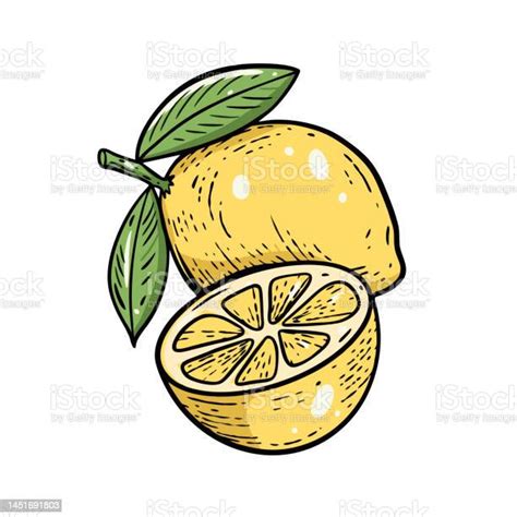 Hand Drawn Lemon Fruit Colorful Engraving Style Vector Art Illustration
