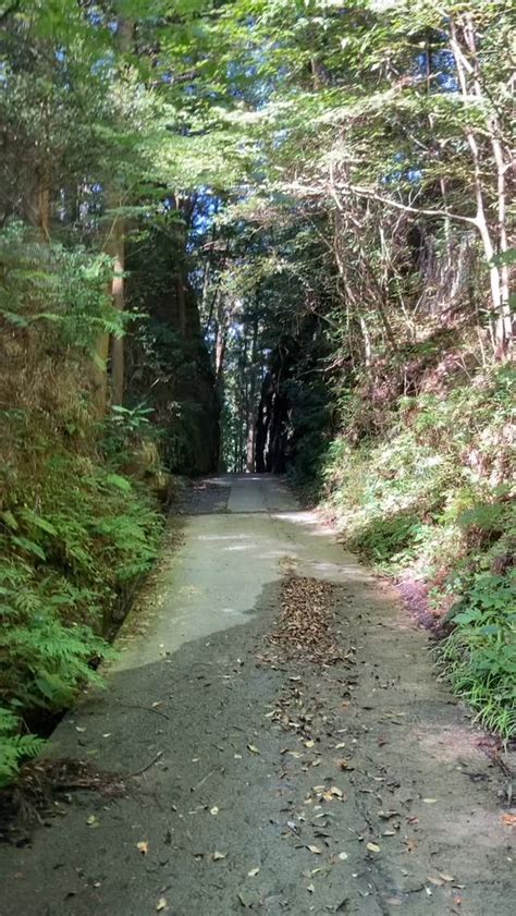 松阪市飯高町珍布峠（めずらしとおげ）⛰️ 運動不足解消のため、『道の駅飯高駅』からのウォーキングコースを歩いてみた🚶‍♀️ 1~2時間のプチ