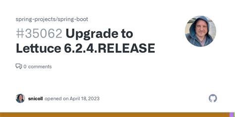 Upgrade To Lettuce 624release · Issue 35062 · Spring Projectsspring Boot · Github