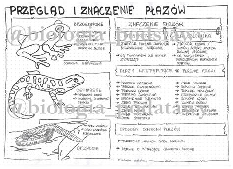 Zurnal Znaczenie at Elvin Elias blog