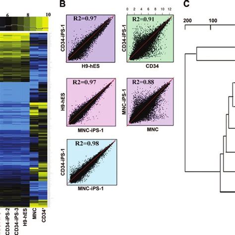 Complete Loss Of Reprogramming Factors And Sendai Virus Sequences In