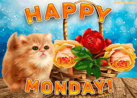 ☀️70 Free Beautiful Good Morning  Images 2025