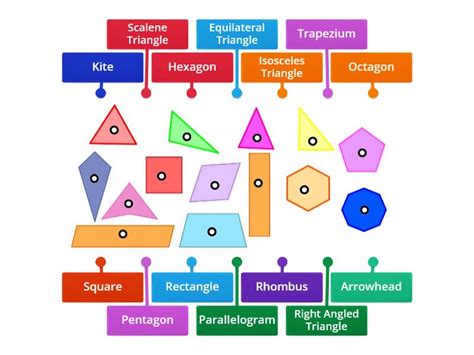 Polygon Labelling 1 Labelled Diagram