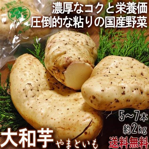 食品 野菜 山芋、長芋、自然薯、大和芋 Br