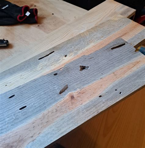 Make Sure This Beetle Kill Pine Is Insect Free Rwoodworking