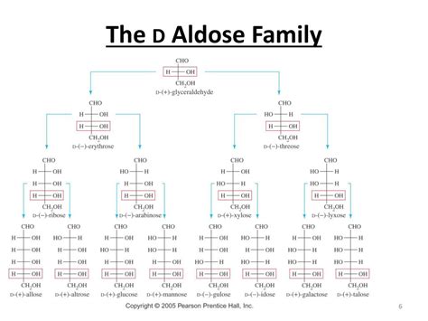 Ppt Chapter 12 Carbohydrates Powerpoint Presentation Free Download
