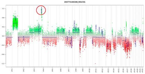 Copy Number Analysis Based On Methylation Data Indicates A High Level