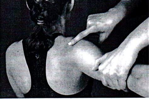 Manual Muscle Testing Flashcards
