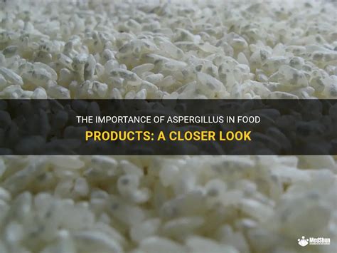 The Importance Of Aspergillus In Food Products A Closer Look Medshun