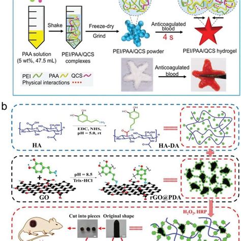 Exploiting The High‐swelling Properties For Hemostasis And Download Scientific Diagram