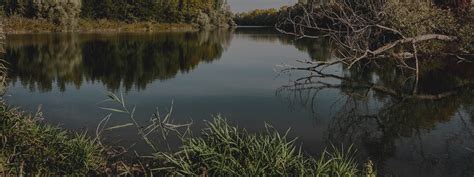 Ph Conductivity Salinity Measurement Imbros