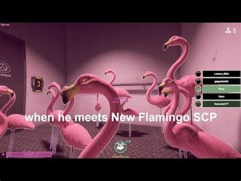New Flamingo Scp 1507 Is Dominating Rscpsecretlab