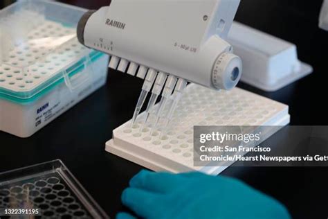 Biology Assay Photos And Premium High Res Pictures Getty Images