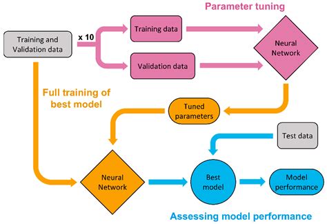 A Generalised Neural Network Model To Estimate Sex From Cranial Metric