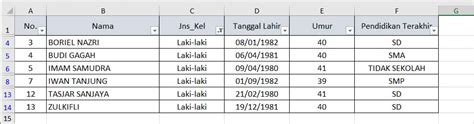 Cara Filter Data Di Excel AMustilan