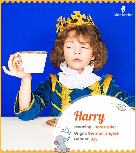 Harry Name Meaning And Origin A Comprehensive Guide