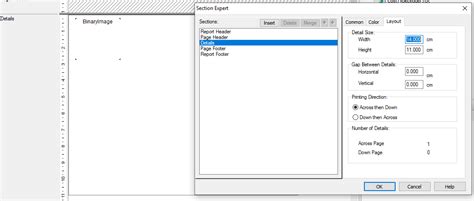 C Crystal Reports Different Detail Section Results On Different
