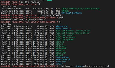 A Step By Step Guide On How To Upgrade Hana Db Revision