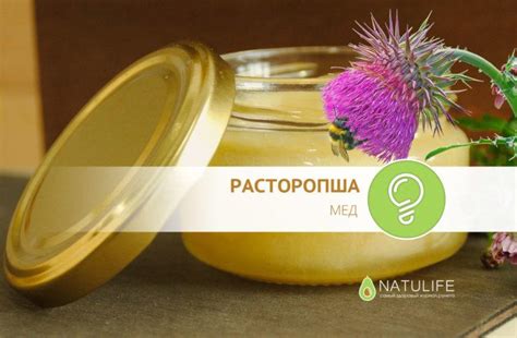 Расторопша в капсулах – инструкция по применению