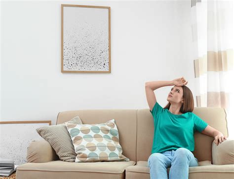 Why Reverse Cycle Air Conditioning Is Just What Your Home Needs