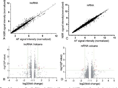 figure 1 from long non coding rna expression profile in permanent