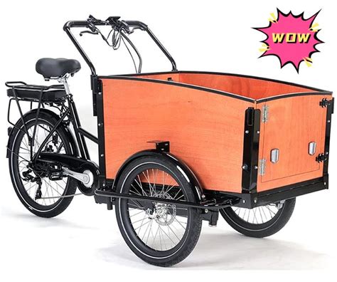 Best Budget Electric Cargo Bike At Eva Gopinko Blog