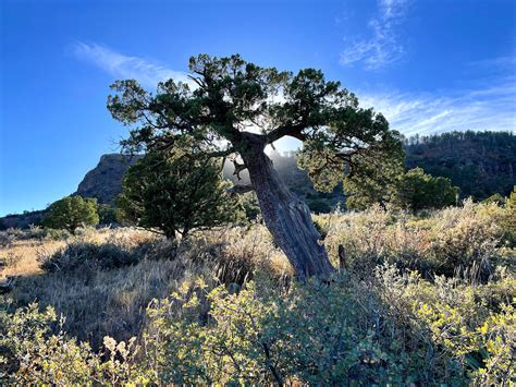 Juniper Wood Ranch Arizona Recently Sold Homes In Juniper Wood Ranch