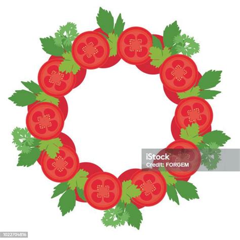 평면 디자인 일러스트 라운드 토마토 조각 프레임 및 바 질 잎과 파 슬 리 잎 텍스트위한 공간 흰색 배경에 고립 된 벡터 개념에