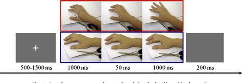 Figure 1 From An Eegerp Investigation Of The Development Of Empathy In Early And Middle