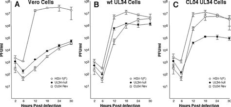 Single Step Growth Of Wild Type And Mutant Viruses On Complementing And