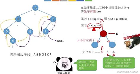 王道数据结构第五章：树与二叉树王道树与二叉树 Csdn博客