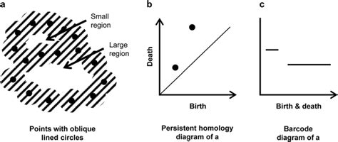 A Examples Of Persistent Homology B Persistent Homology Diagram Of A Download Scientific