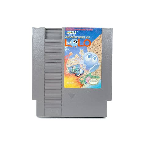 The Adventures Of Lolo Video Game Champs