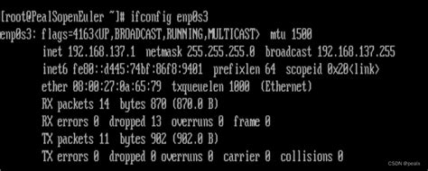 用virtualbox进行openeuler网络配置 oracle vm virtualbox 配置openeuler网卡 csdn博客