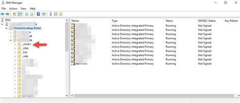 Msdcs Zone Reparieren Und Gesamtstrukturweit Neu Anlegen Der Windows