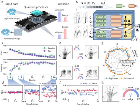 我科学家在超导系统中首次实现量子对抗机器学习 模型 实验 训练