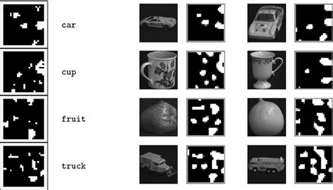 Examples Of Population Coding In Higher Amodal Cortical Map In Each Download Scientific