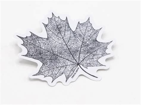 Maple Leaf Sticker By Cognitive Surplus Ram Shop