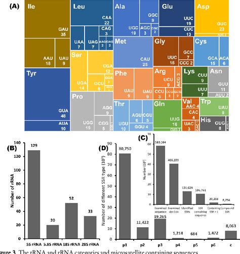 Figure 3 From Characterization The Coding And Non Coding Rna Components In The Transcriptome Of