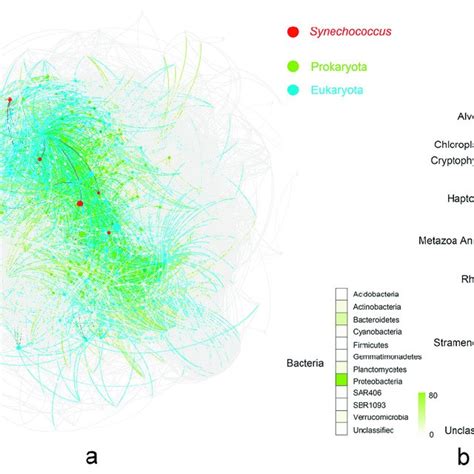 Microbial Community Co Occurrence Network Associated With Download Scientific Diagram