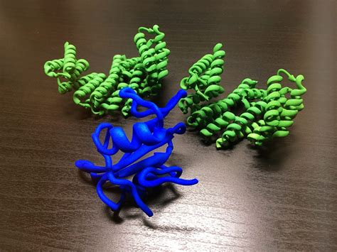 3d Printing Protein Models Made Simple By Fábio Madeira Medium