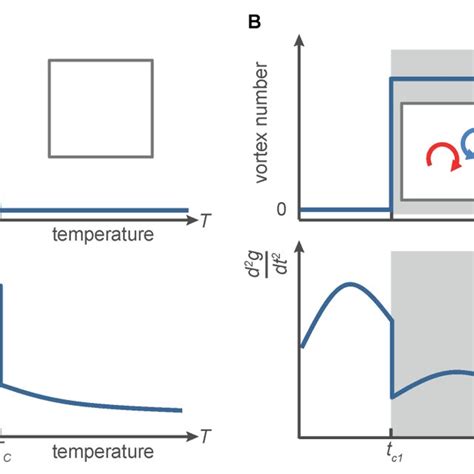 Pdf Observation Of A Dynamical Topological Phase Transition